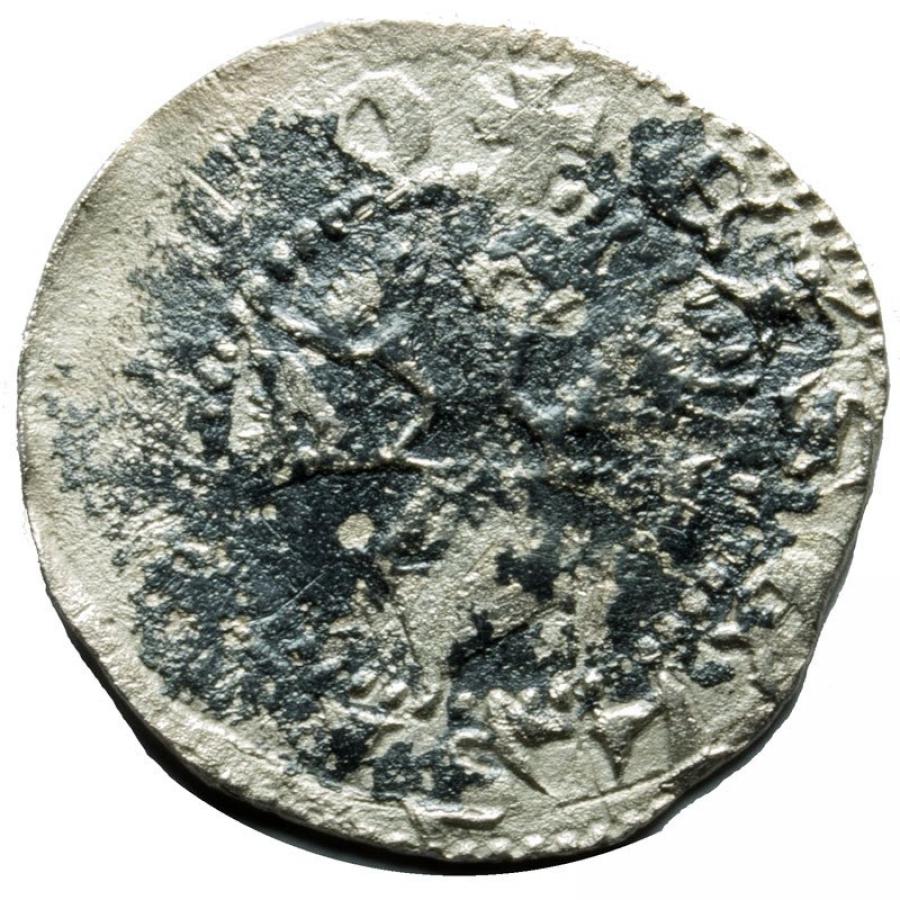 Kwartnik Księstwo Furstenberg Lwówek